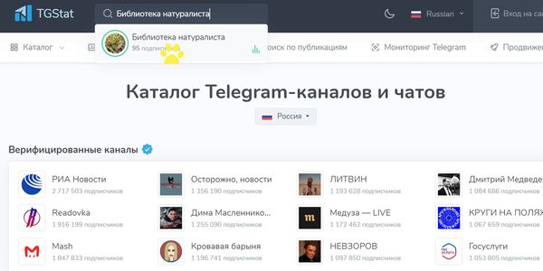 Как смотреть статистику телеграм-каналов и чатов – рабочие способы и полезные сервисы